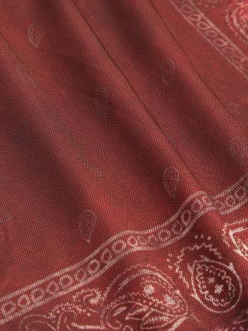 Cowboy Western Outfits Mesh Paisley Pattern Mesh Maxi Dress For Work