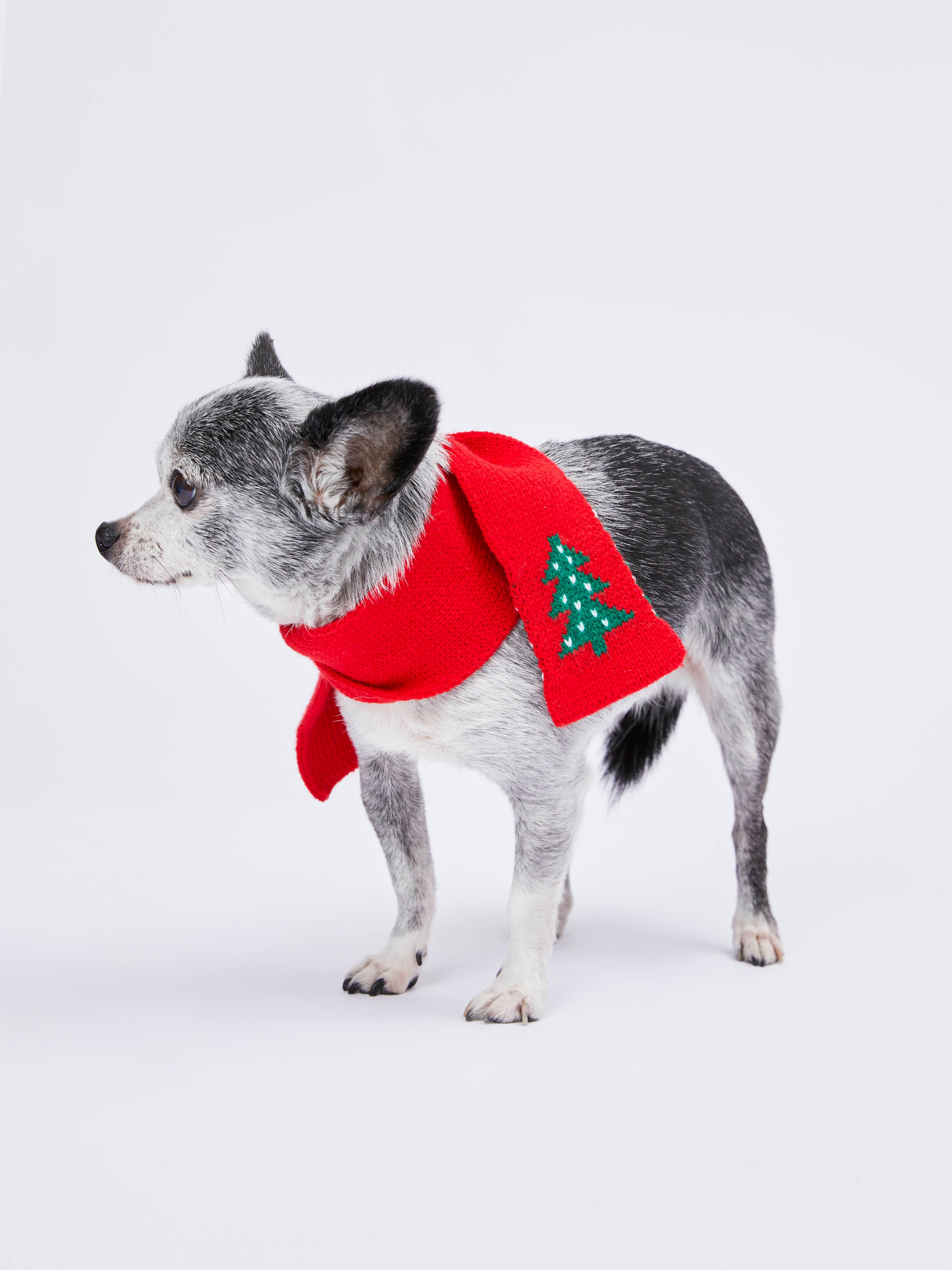 Knit Fabric Christmas Tree Pet Collar