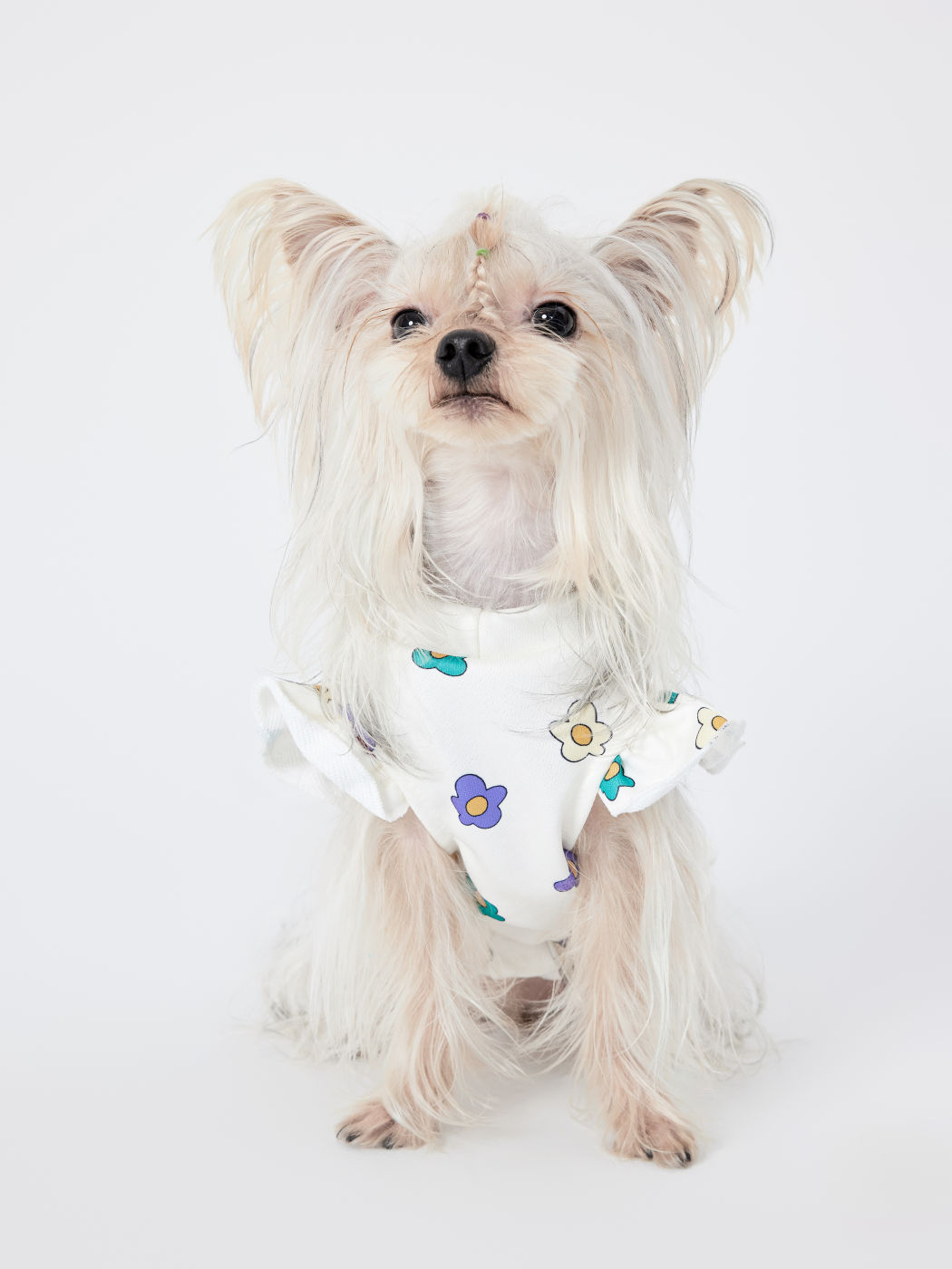 Floral Pet Clothing