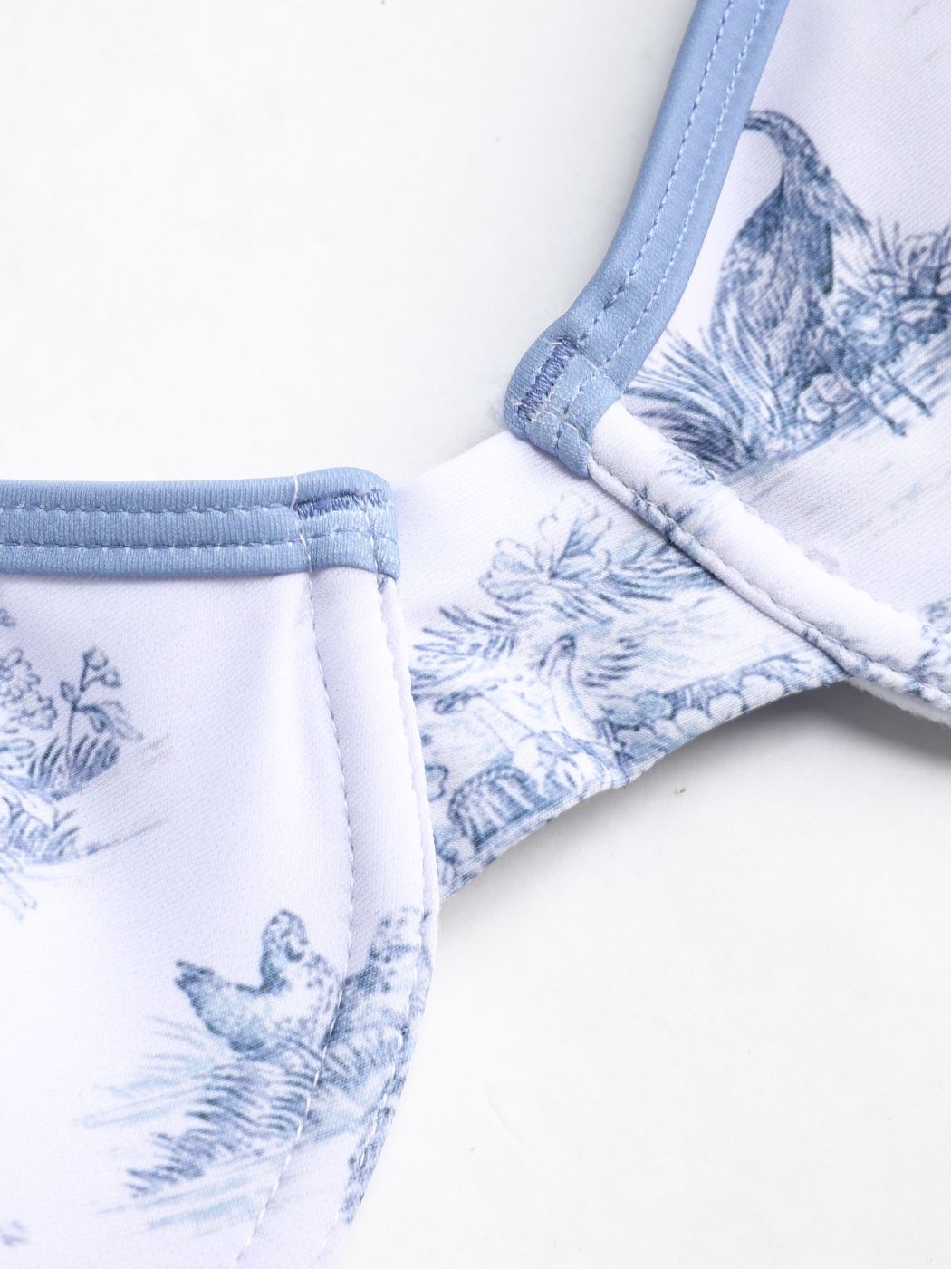 Cider-Women's Fashion Clothing