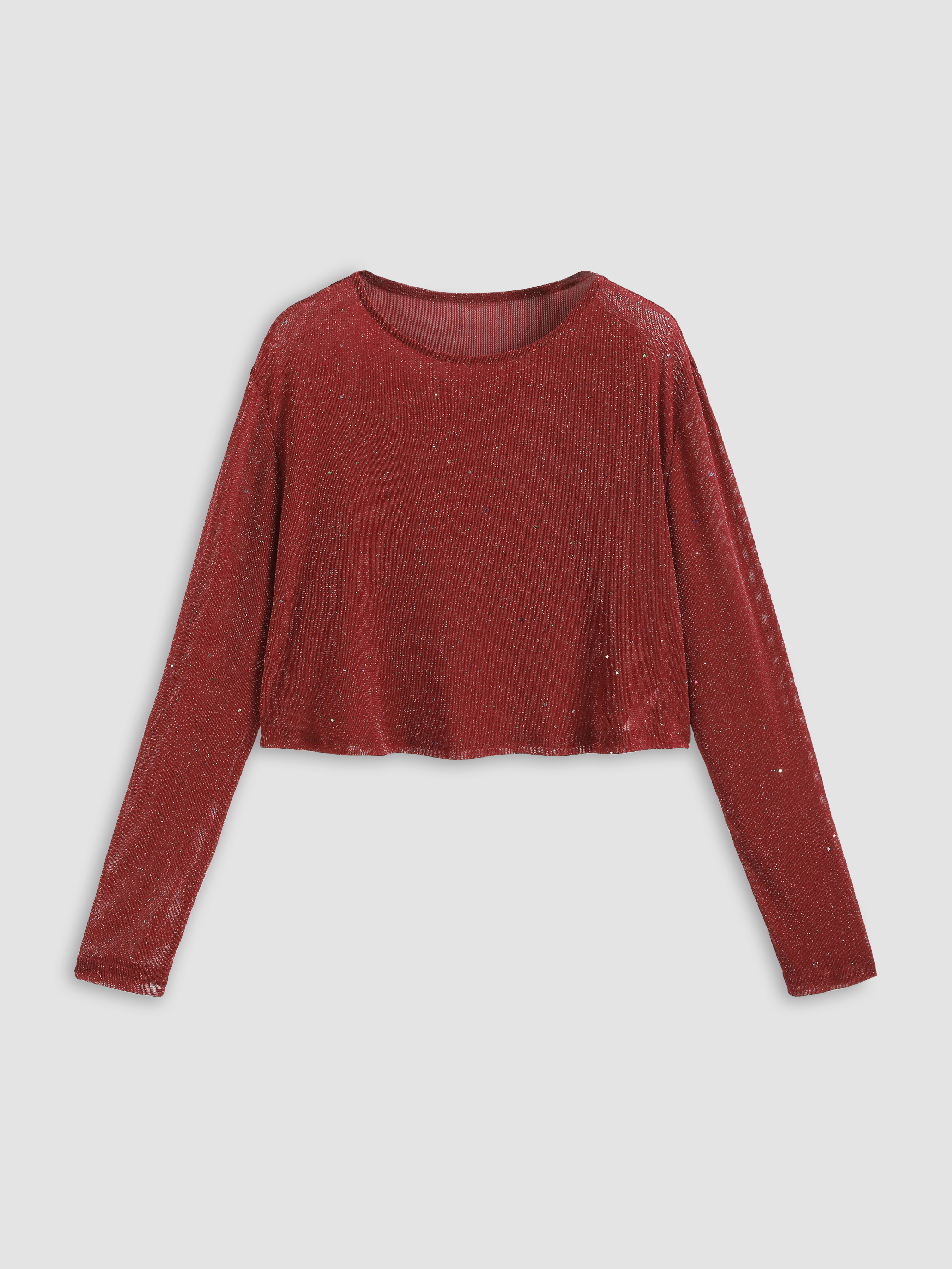 Mesh Round Neckline Glitter Long Sleeve Top - Cider