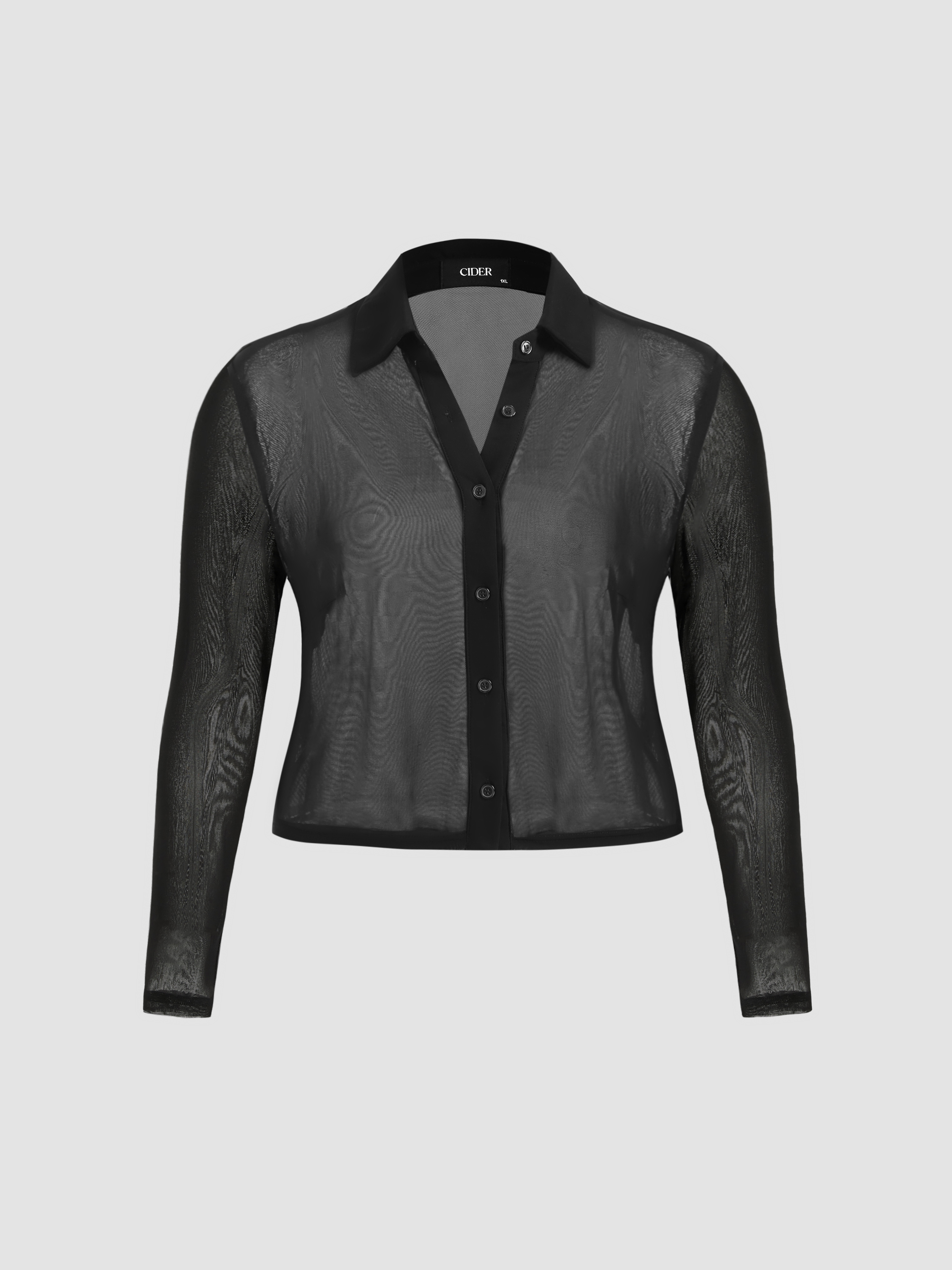 Mesh Polo Solid Button Long Sleeve Top Curve & Plus - Cider