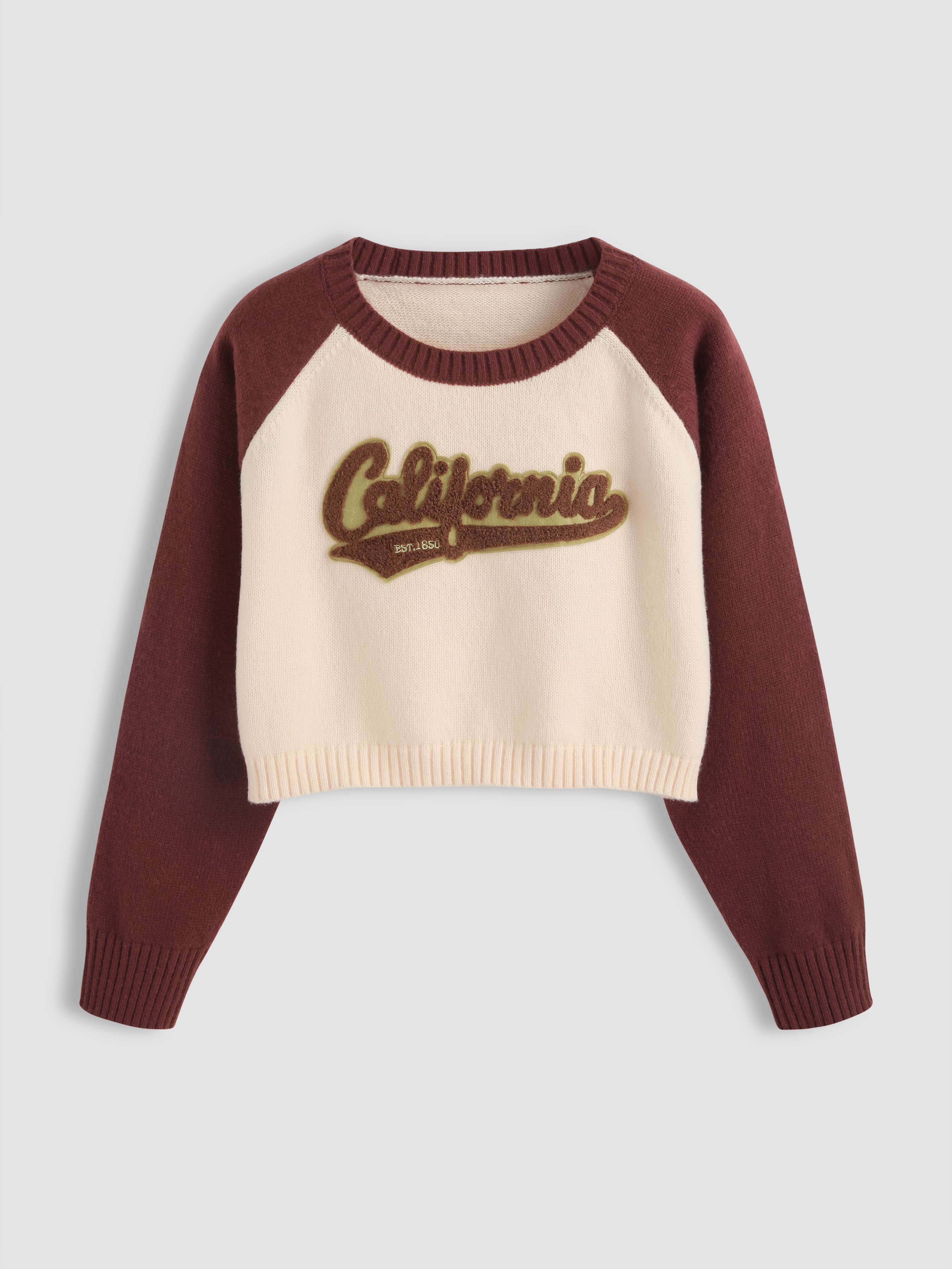 California Two Tone Round Neckline Sweater Curve & Plus - Cider