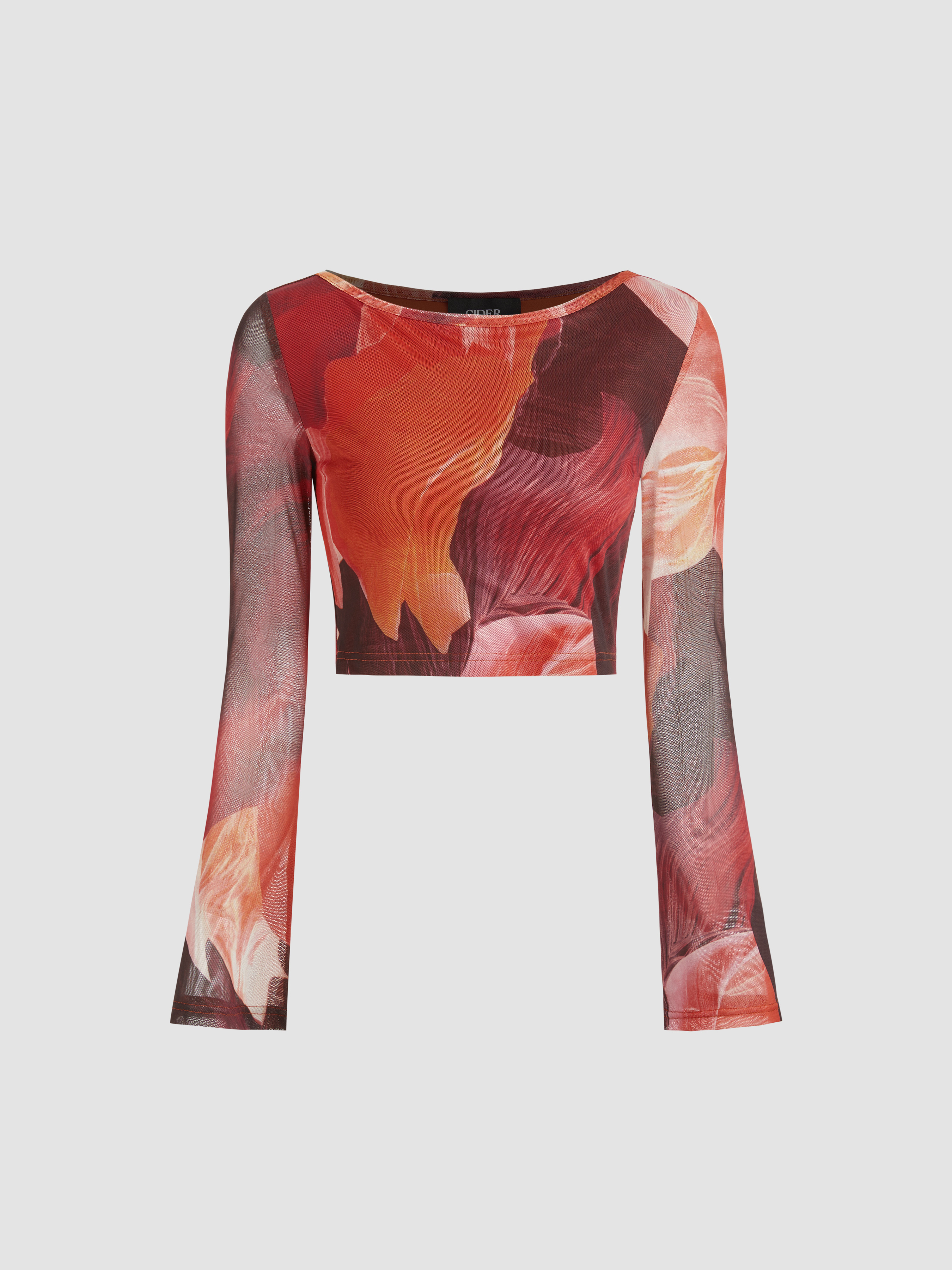 Mesh Round Neck Floral Long Sleeve Crop Top For Vacation