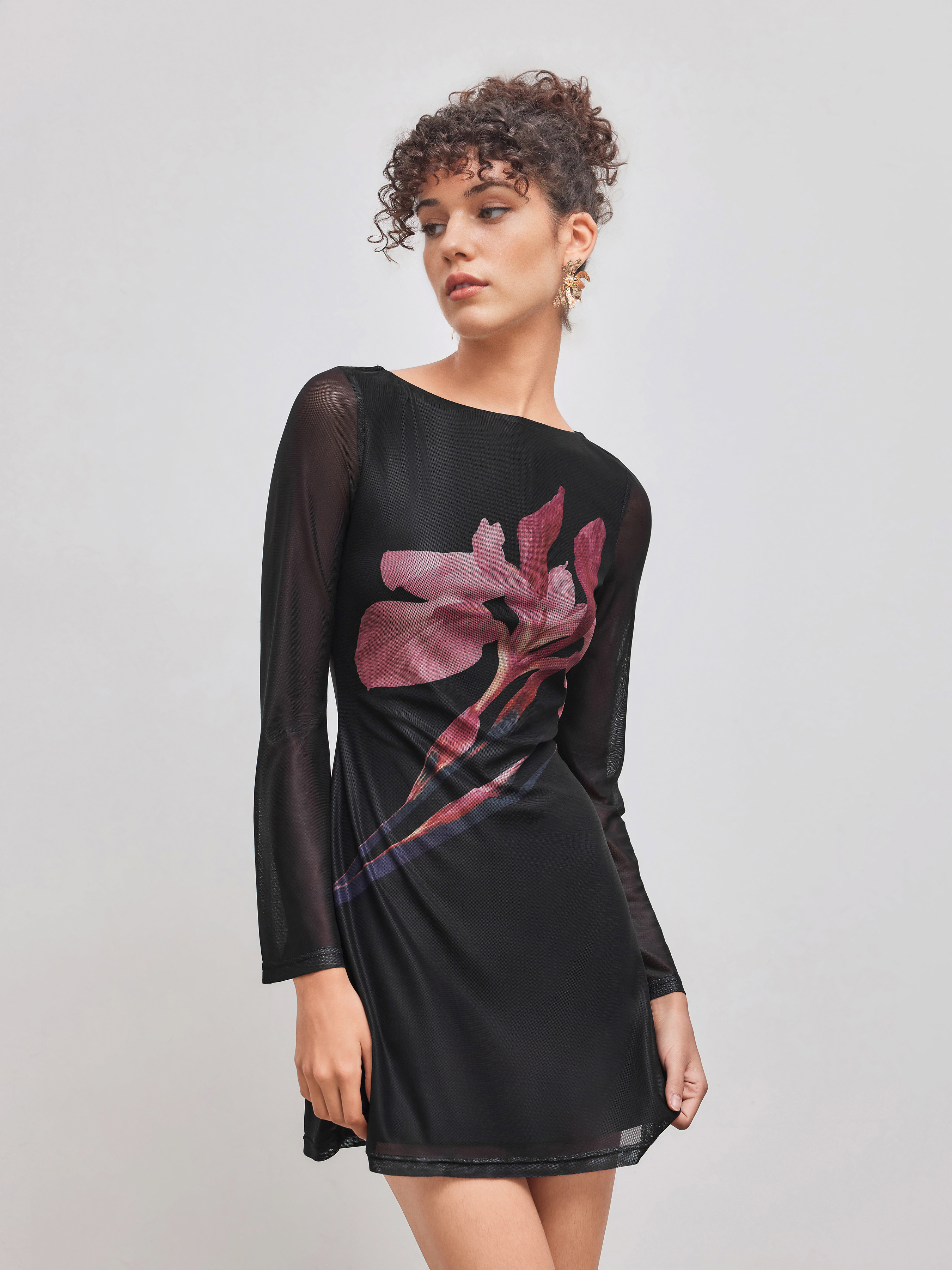 Mesh Mesh Boat Neck Floral Mini Dress For Date